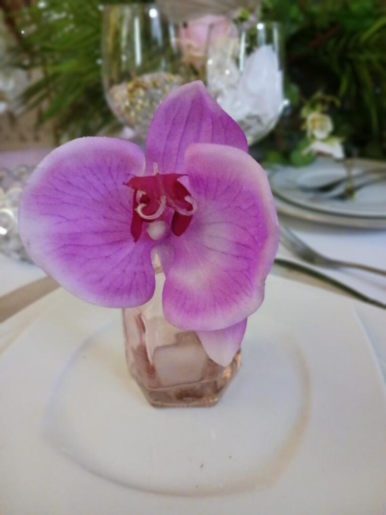 Orchidee De Soie